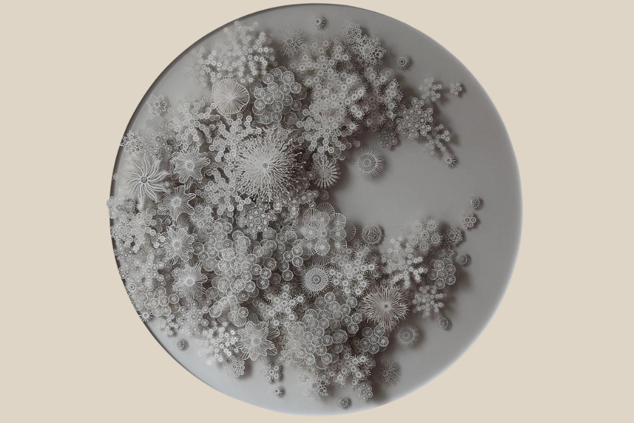 La flore intestinale (ou microbiote) : qu’est-ce que c’est